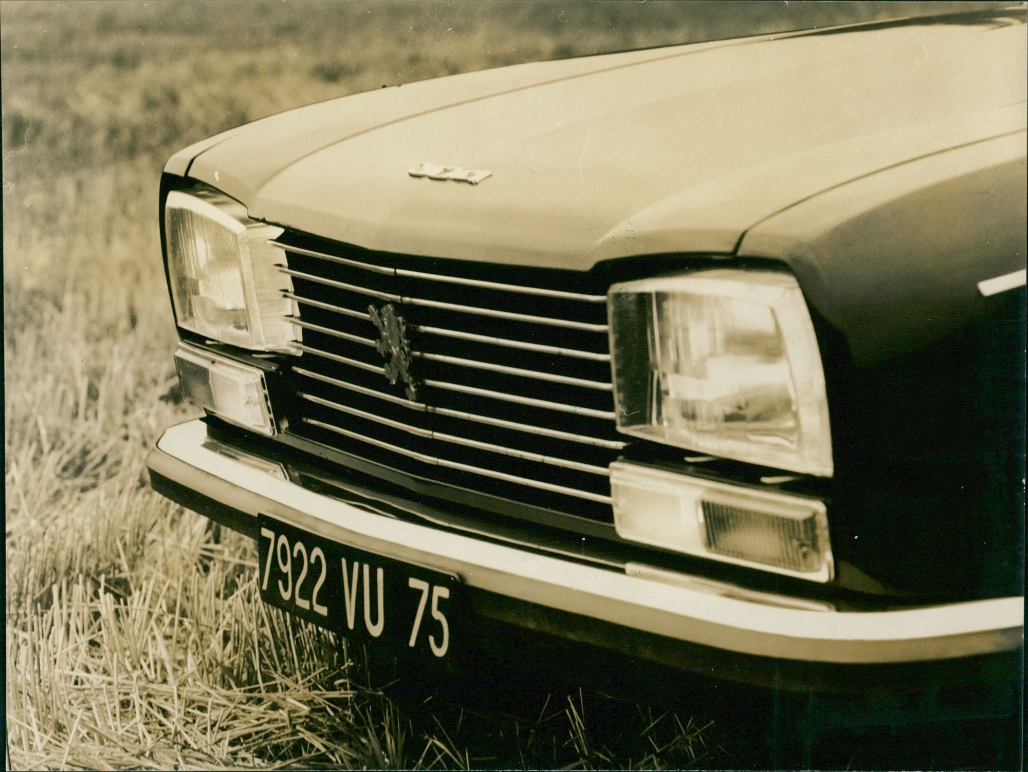 1969 Peugeot 304 - Vintage Photograph