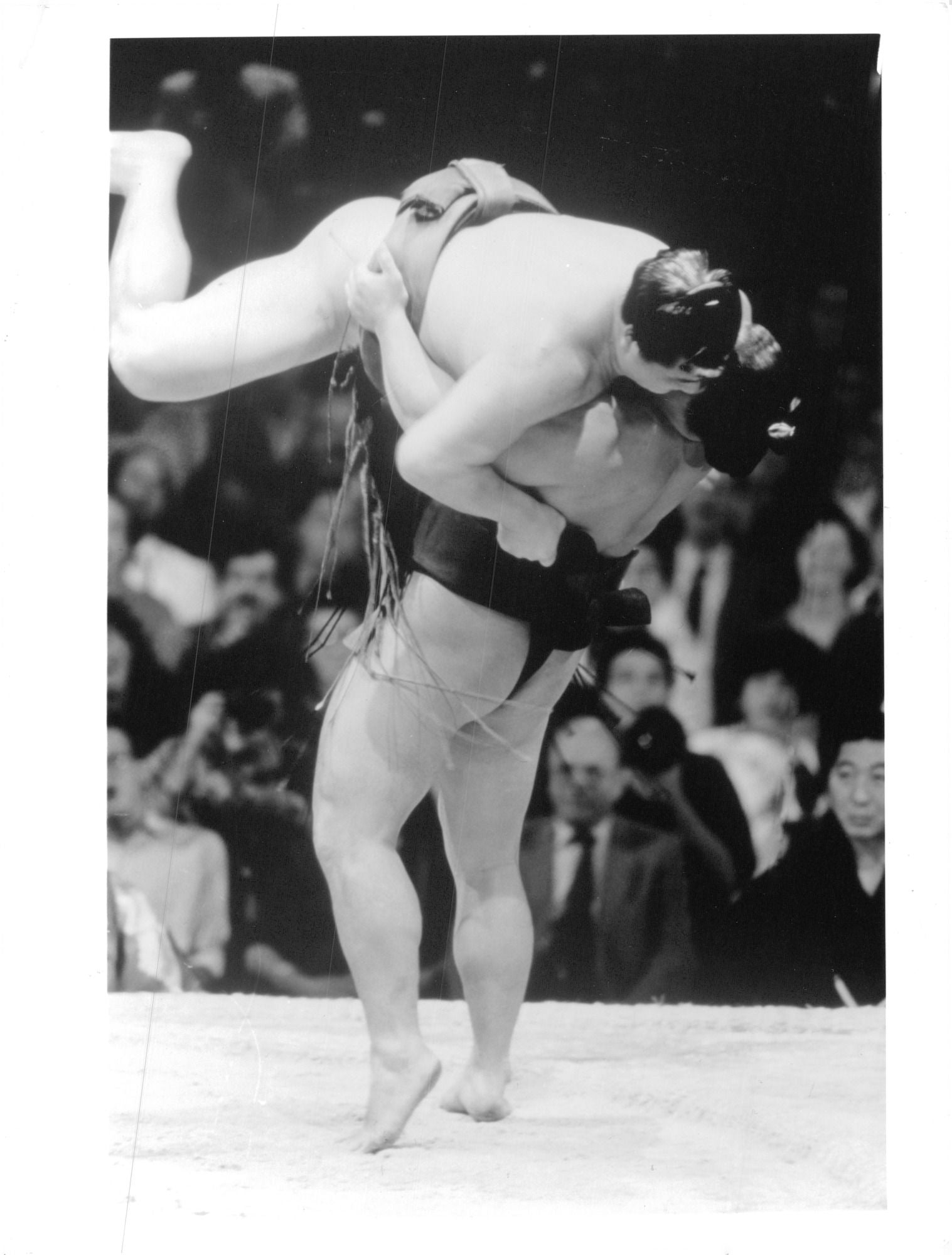 Sumo wrestlers. - Vintage Photograph