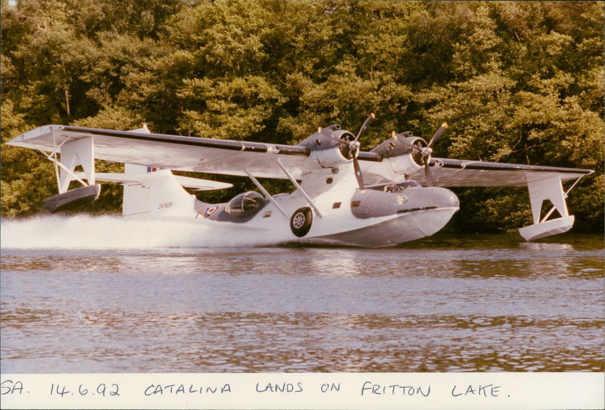 Catalina Aircraft - Vintage Photograph