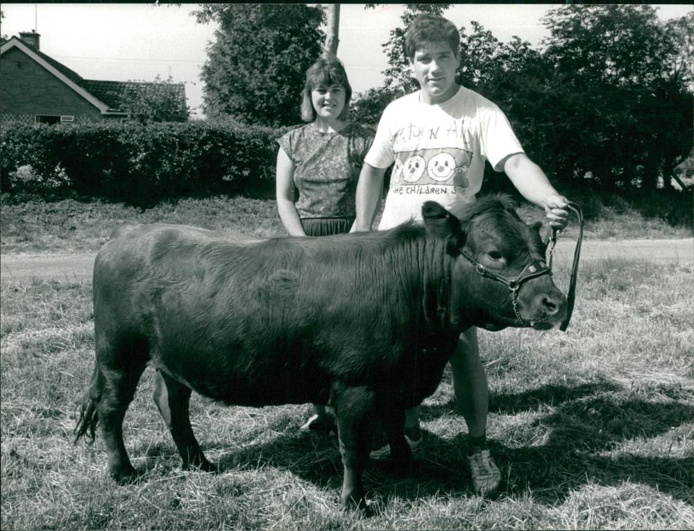 Cattle animals:john woolard and wife donna. - Vintage Photograph
