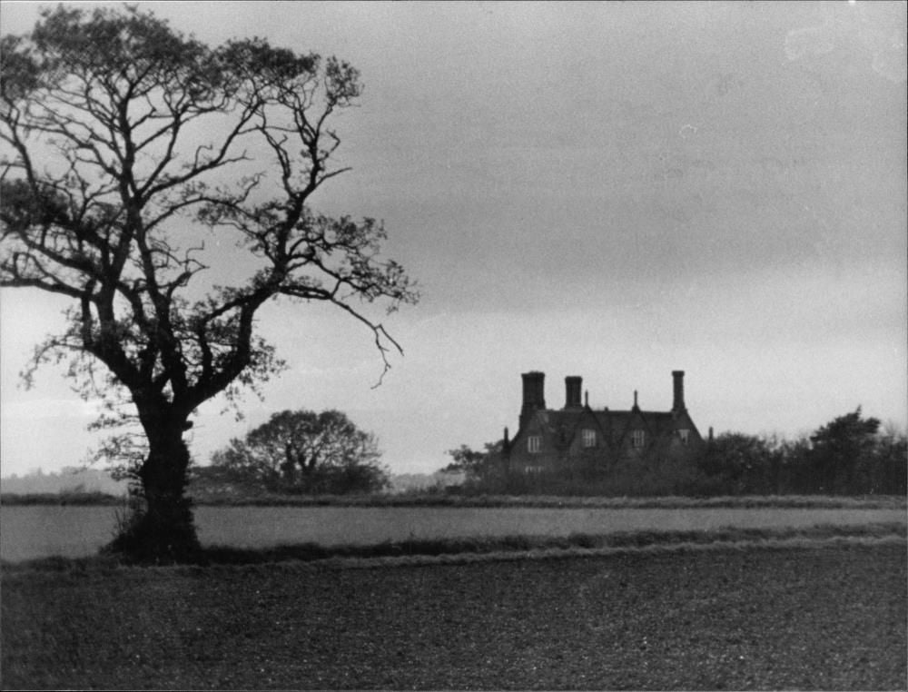 Isolated Wood Dalling hall. - Vintage Photograph