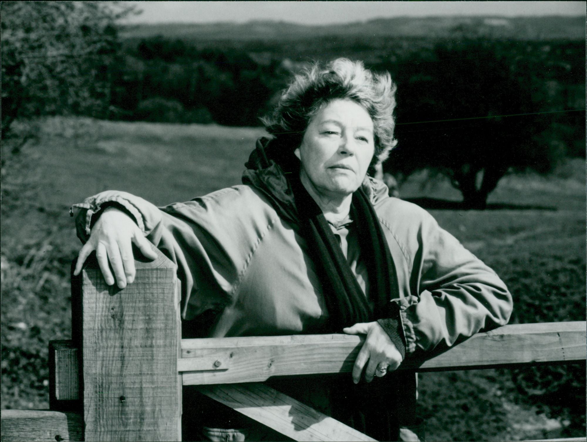 Rosemary Leach British television actress - Vintage Photograph