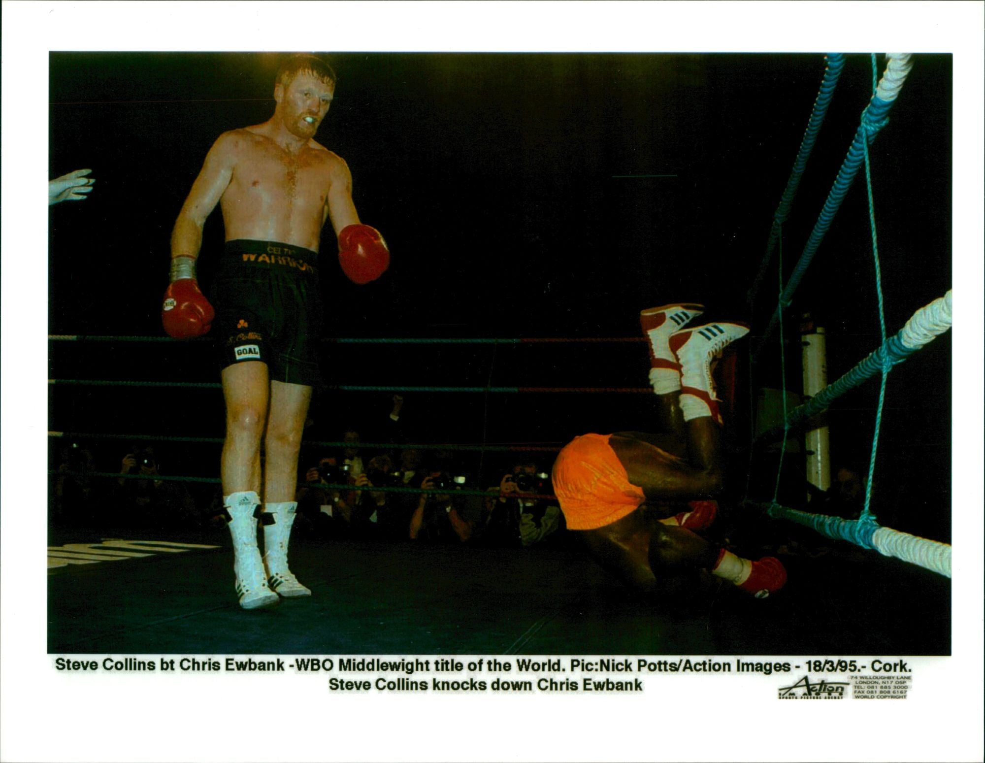 Steve Collins Irish professional boxer - Vintage Photograph