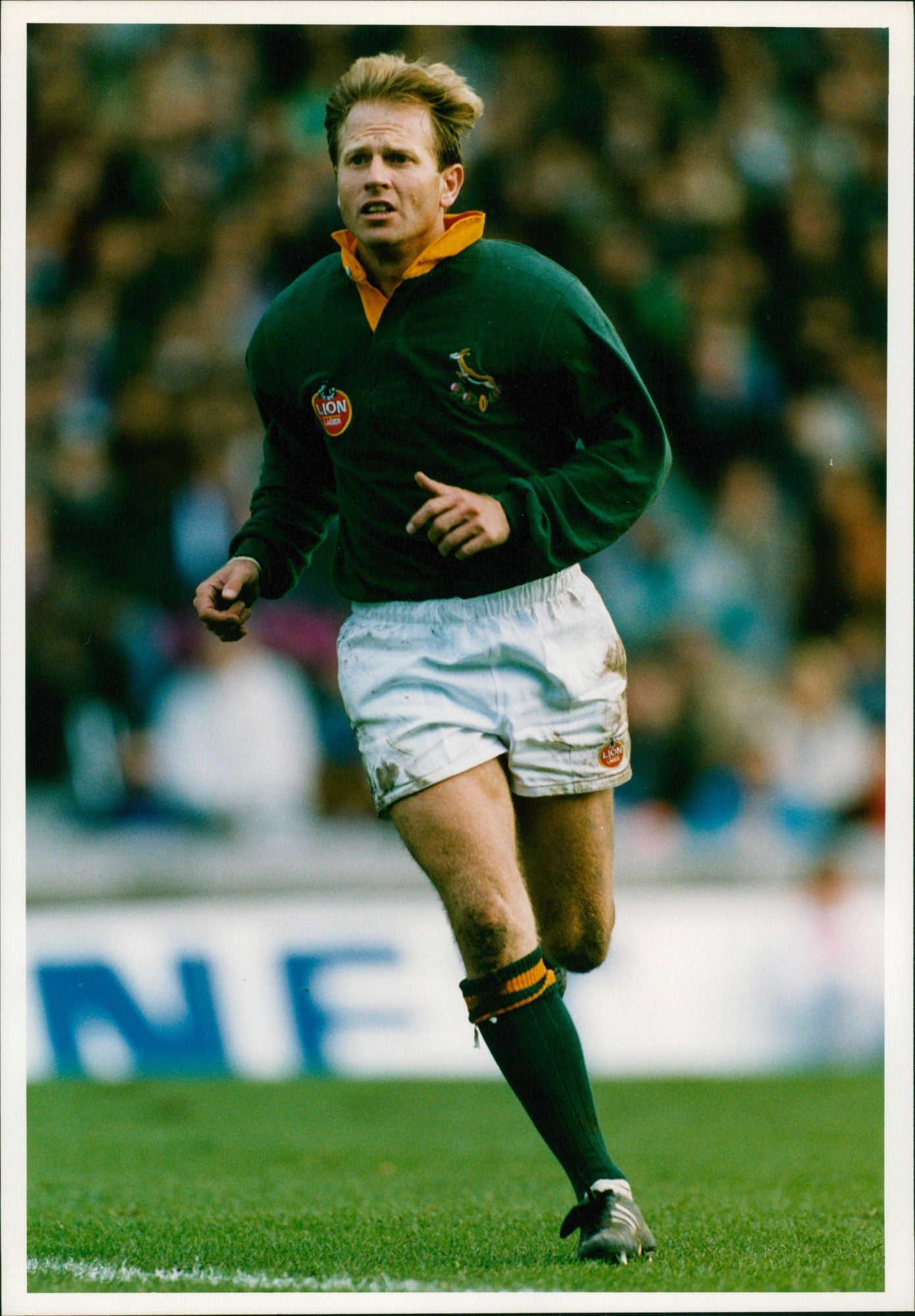 Naas Botha South African rugby player - Vintage Photograph
