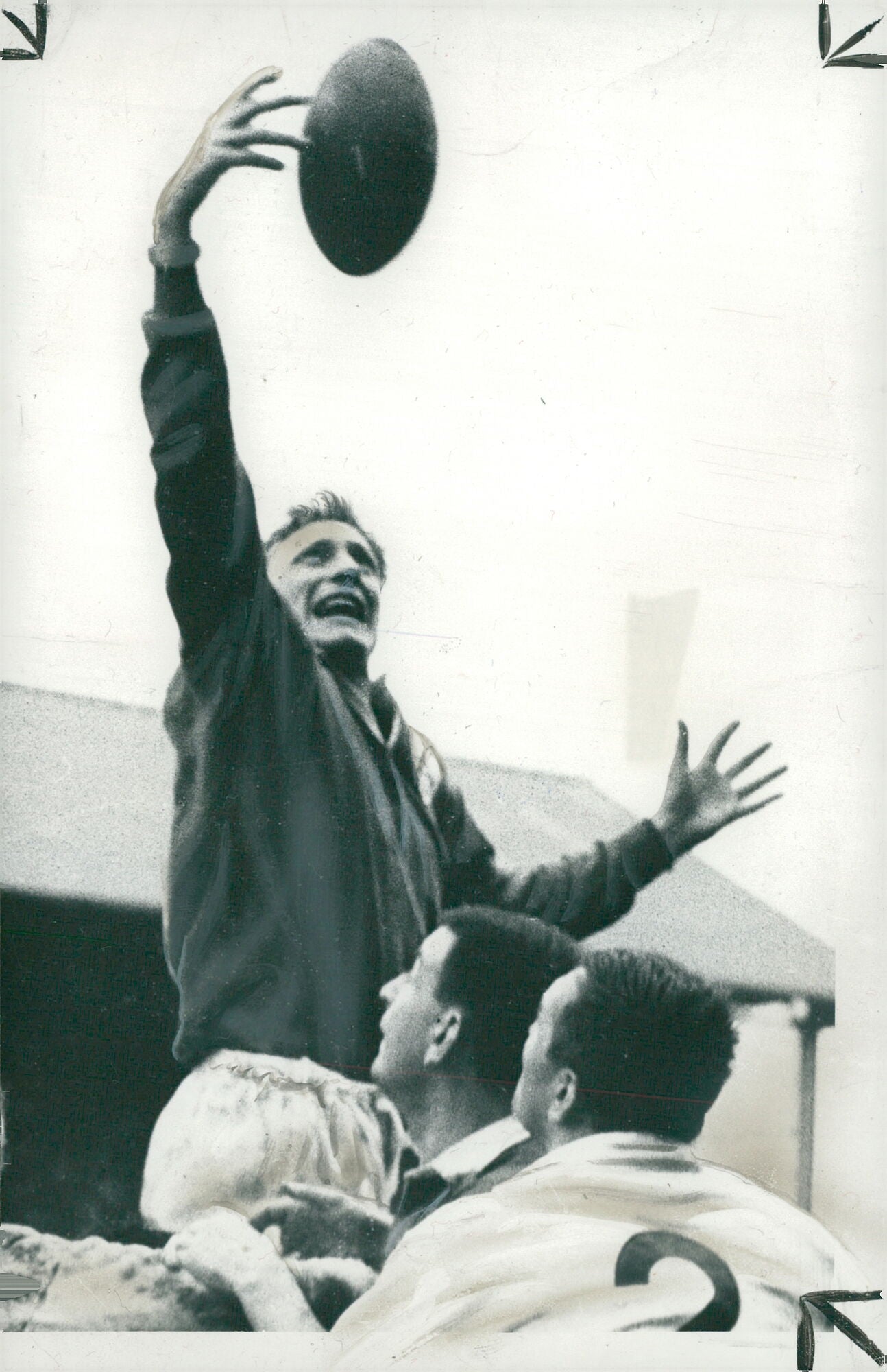 Willie John McBride Rugby union lock. - Vintage Photograph