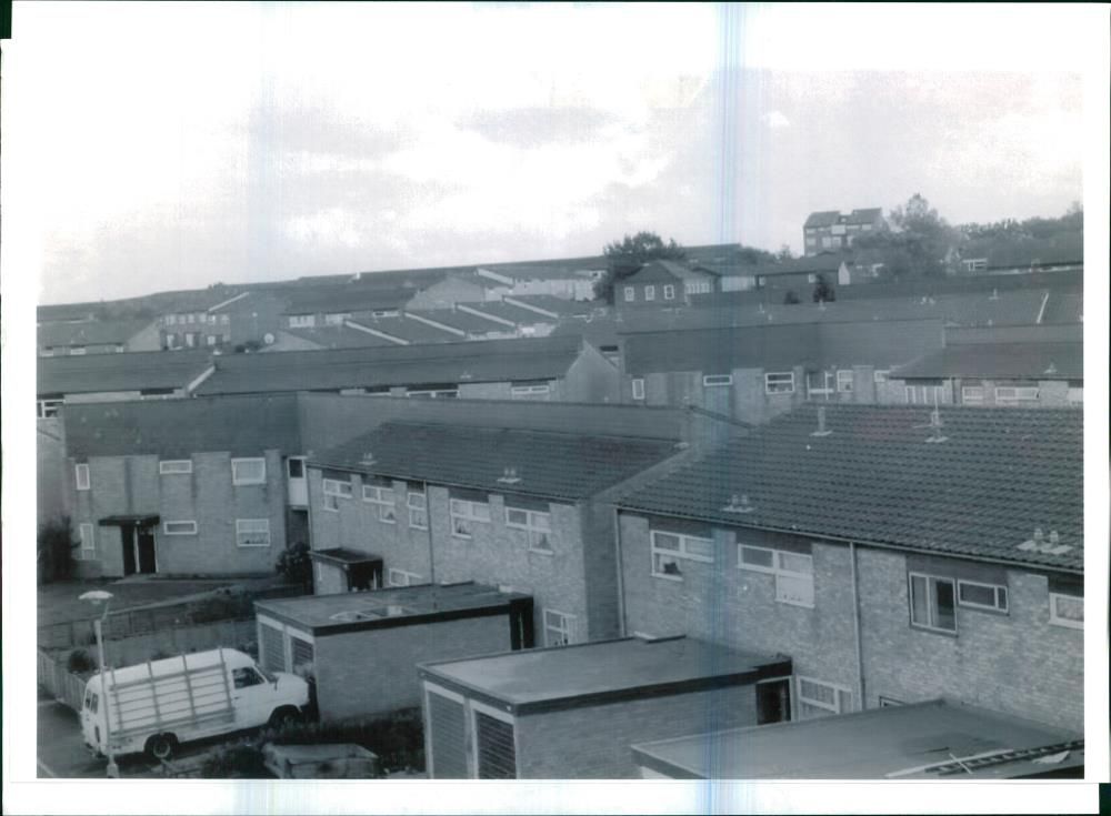 Woodgate Valley Estate:Vigilante Story. - Vintage Photograph