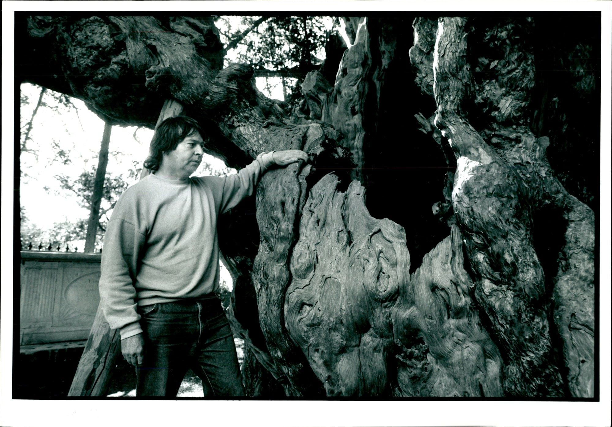1990 ALLAN MERIDITH YEW TREE FANATIC PHOTOGRAPHED THE SIMON WALKER - V