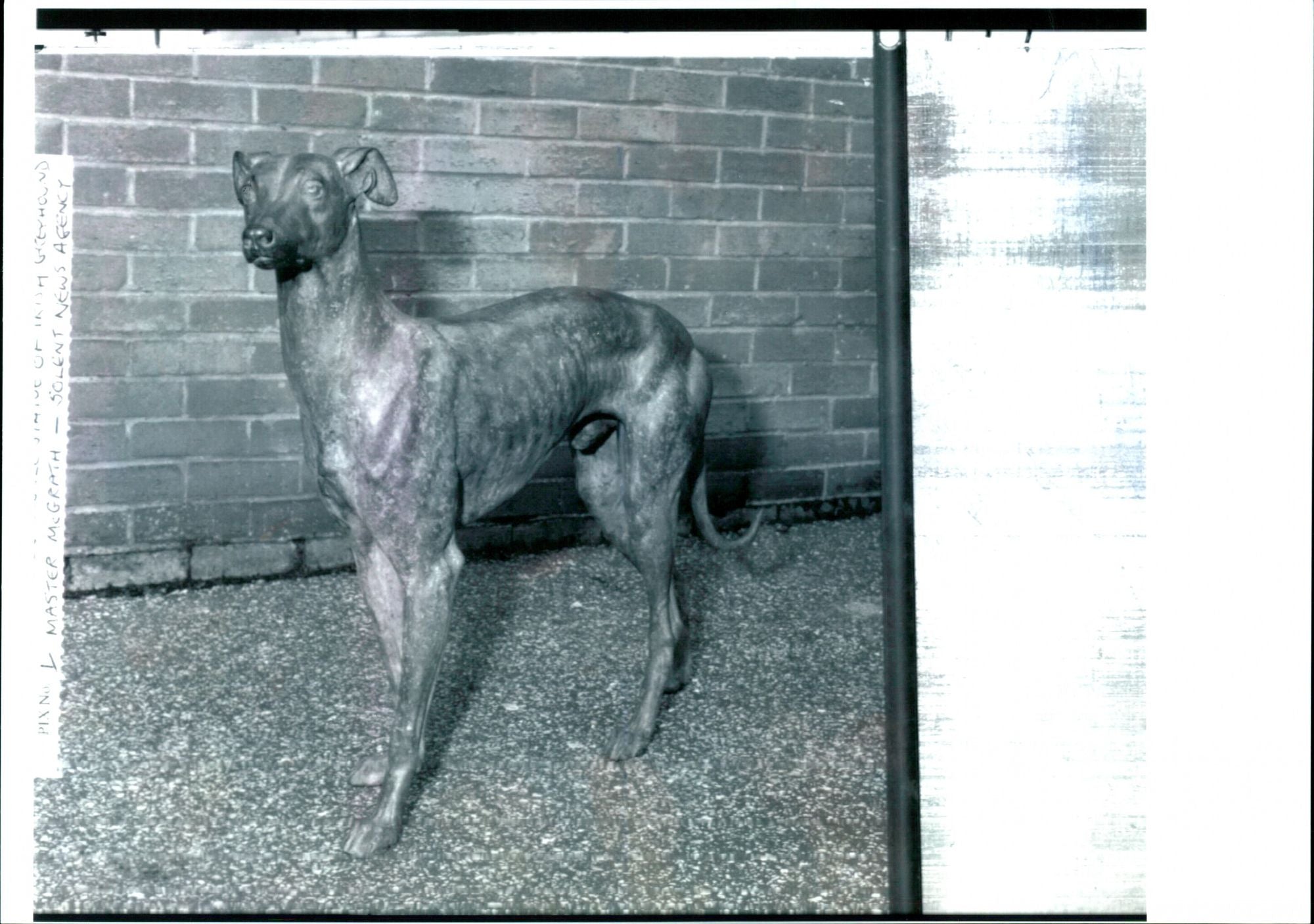 Master McGrath statue - Vintage Photograph