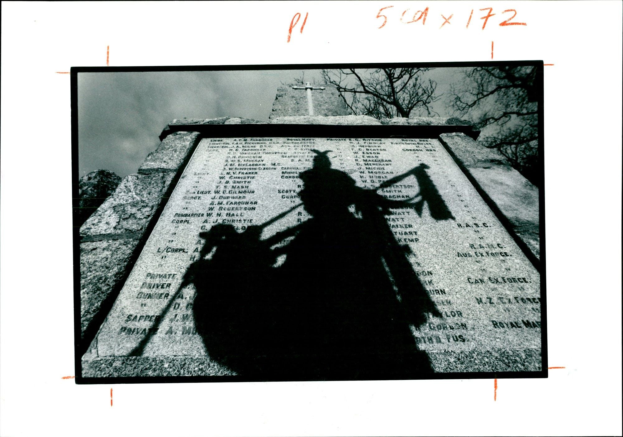 Remembrance Day Scenes - Vintage Photograph