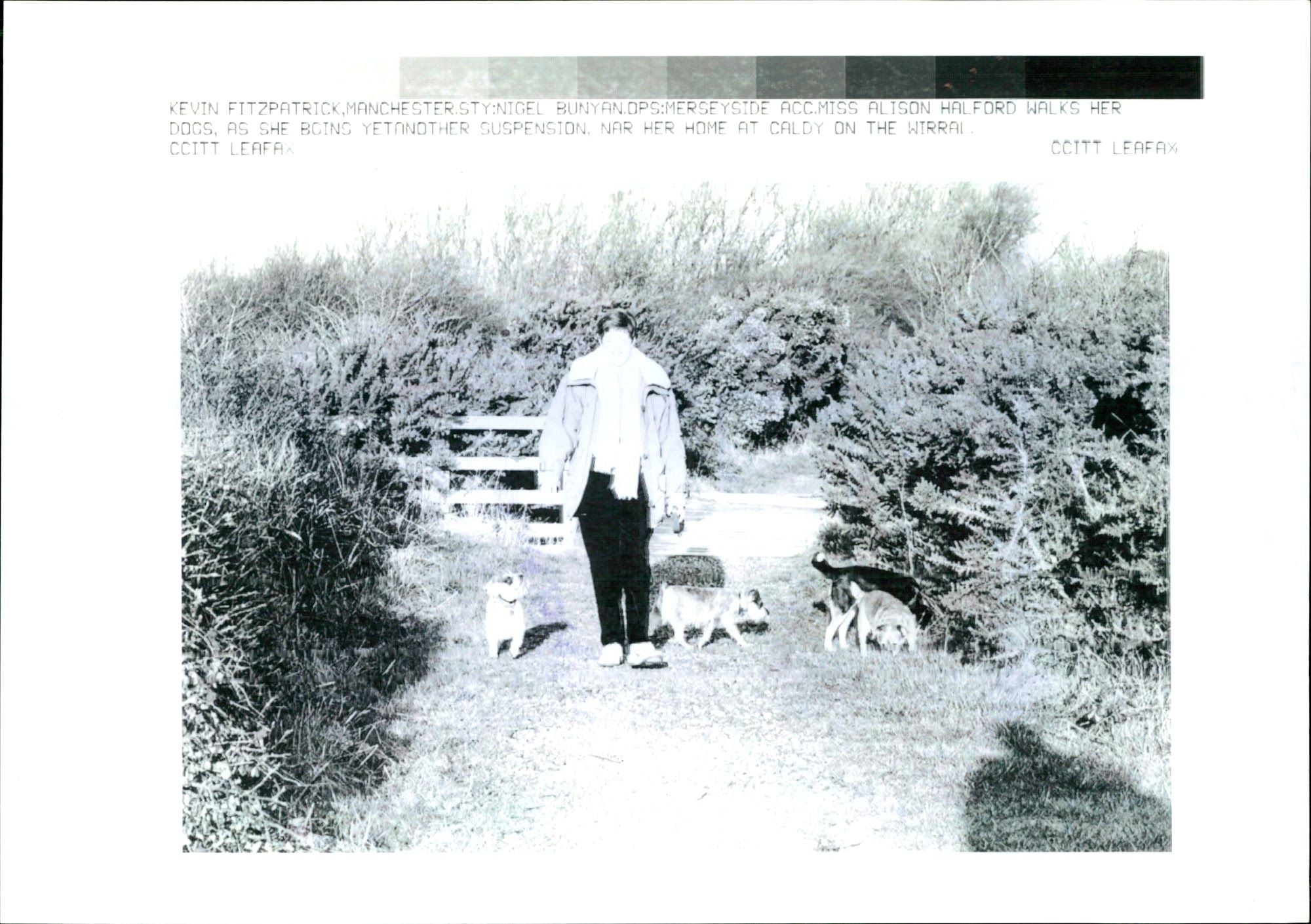 Alison Halford, British former female police officer - Vintage Photogr