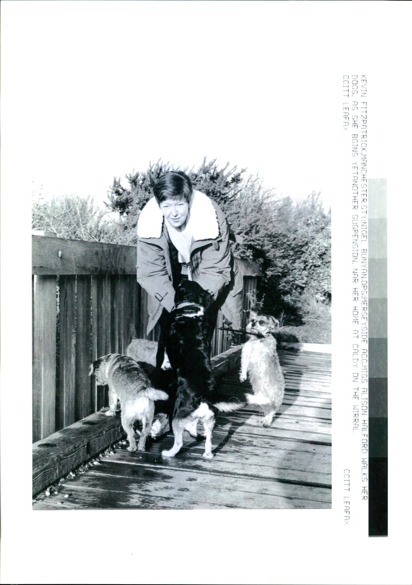 Alison Halford, British former female police officer - Vintage Photogr