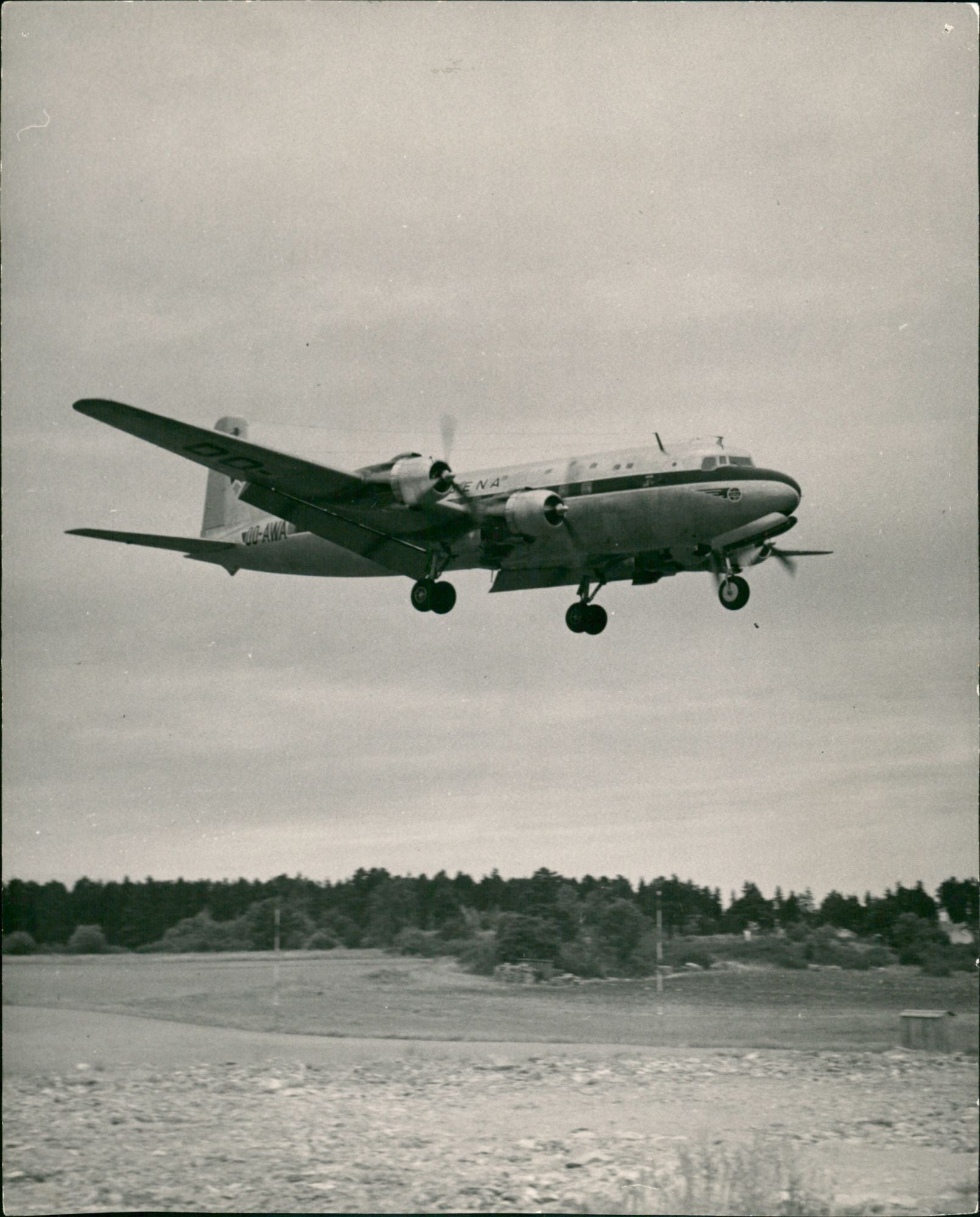 Douglas DC-6. - Vintage Photograph