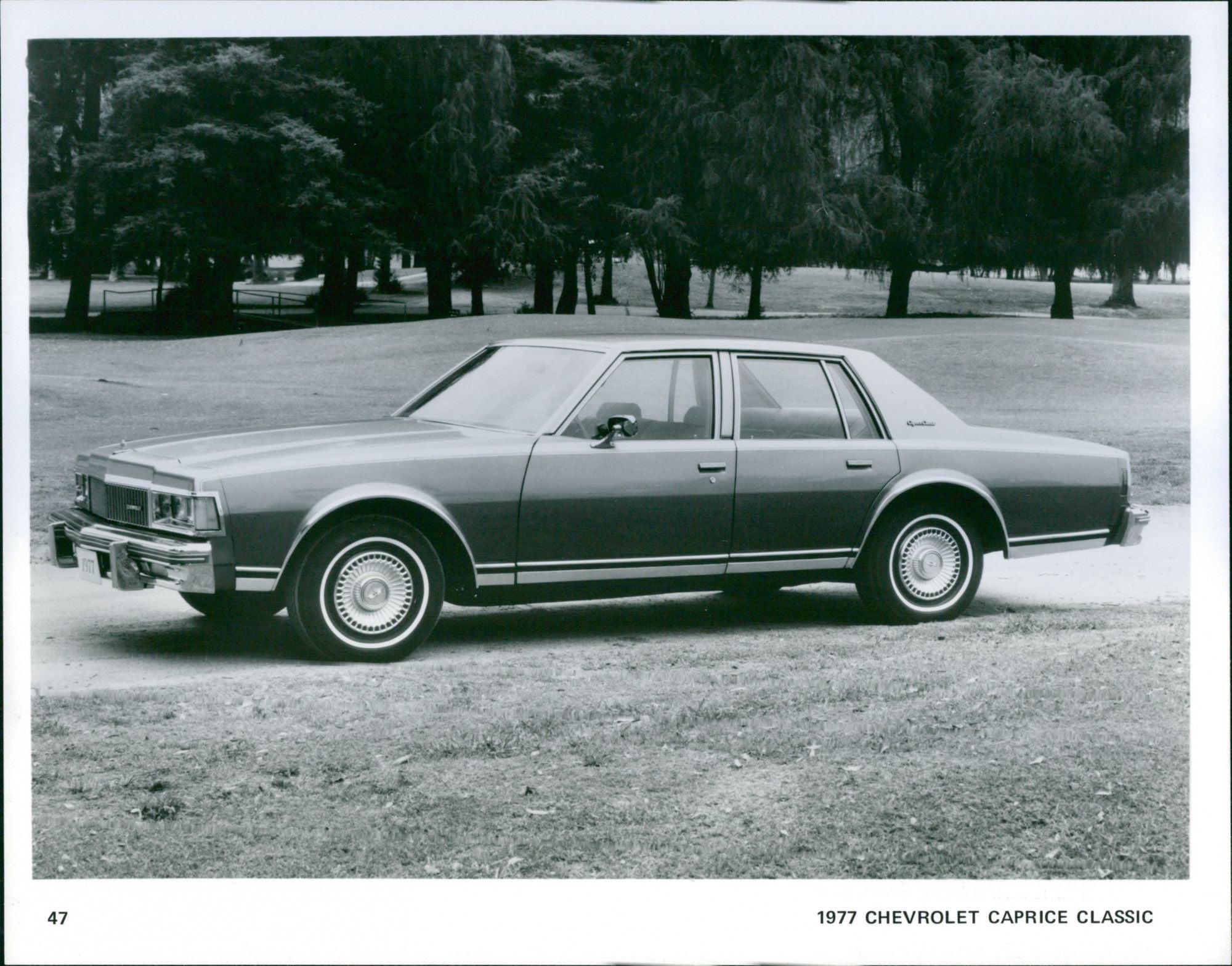 1977 Chevrolet Caprice Classic - Vintage Photograph