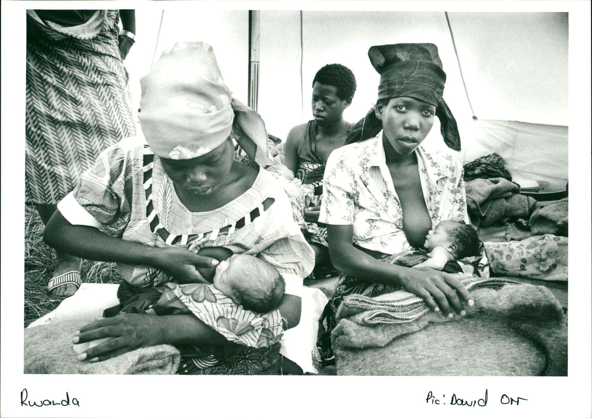 pinos old RWANDA . 3 5 - Vintage Photograph