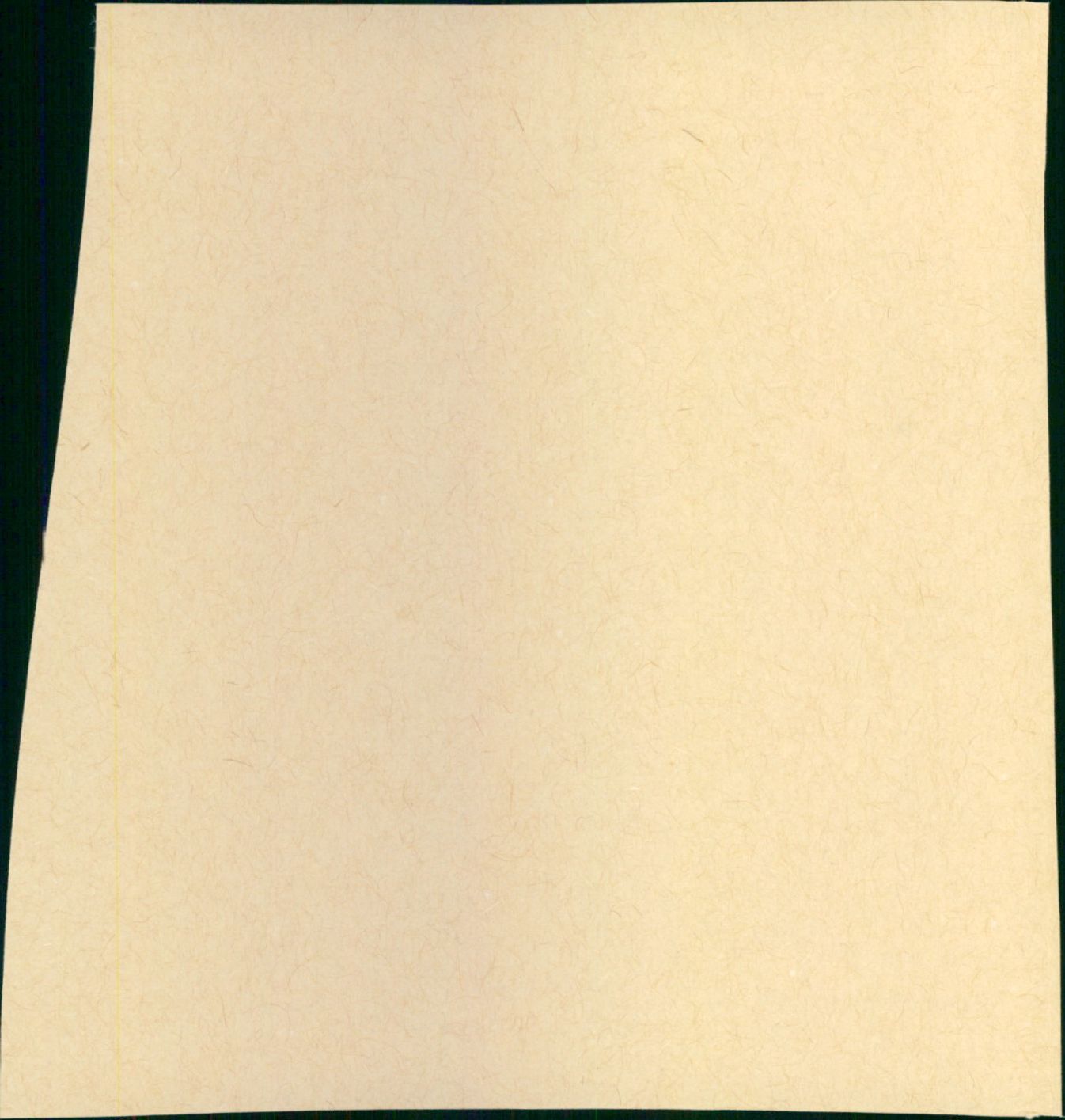 Bride of Frankenstein - Vintage Photograph