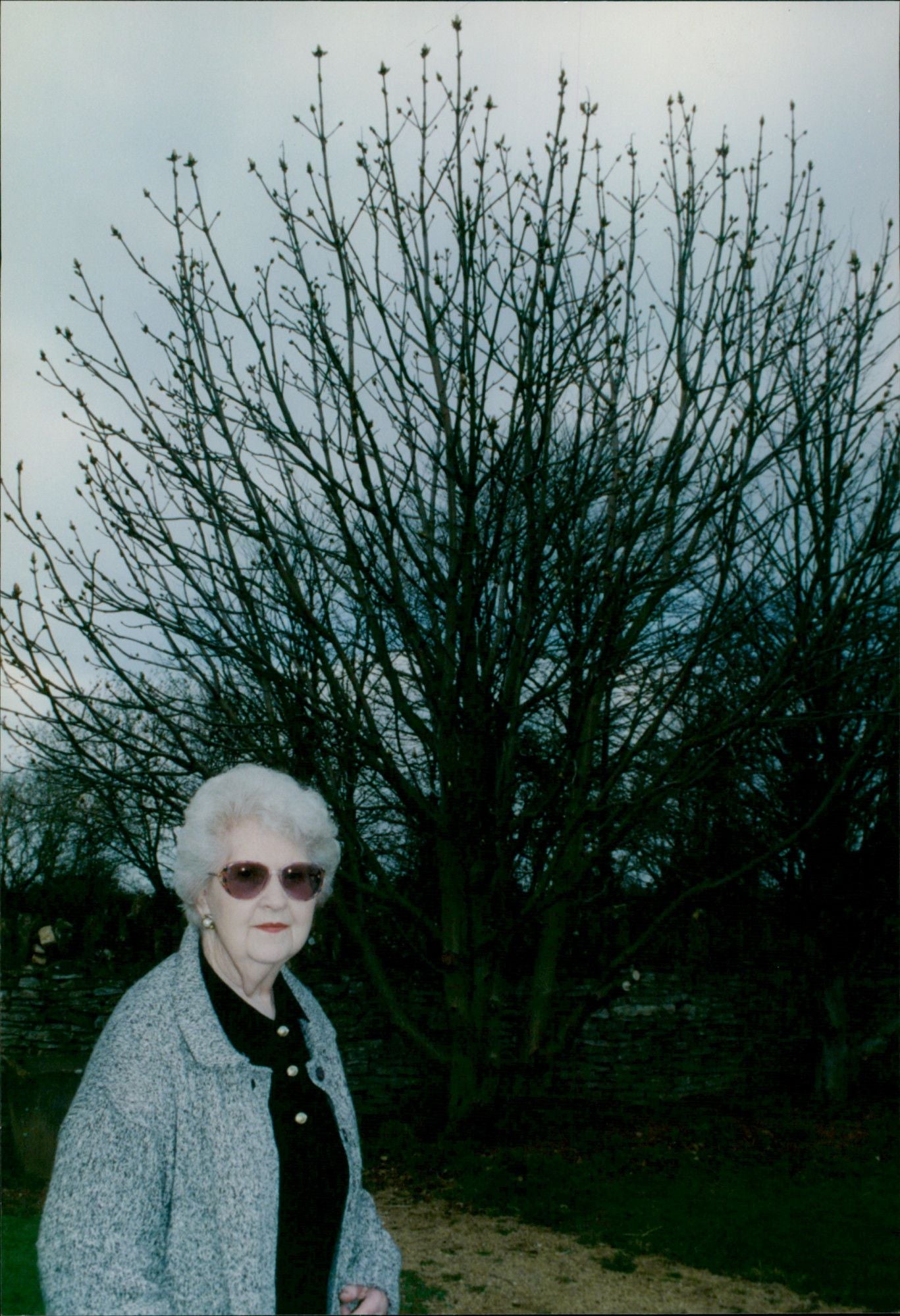 Beryl Brettle - Vintage Photograph