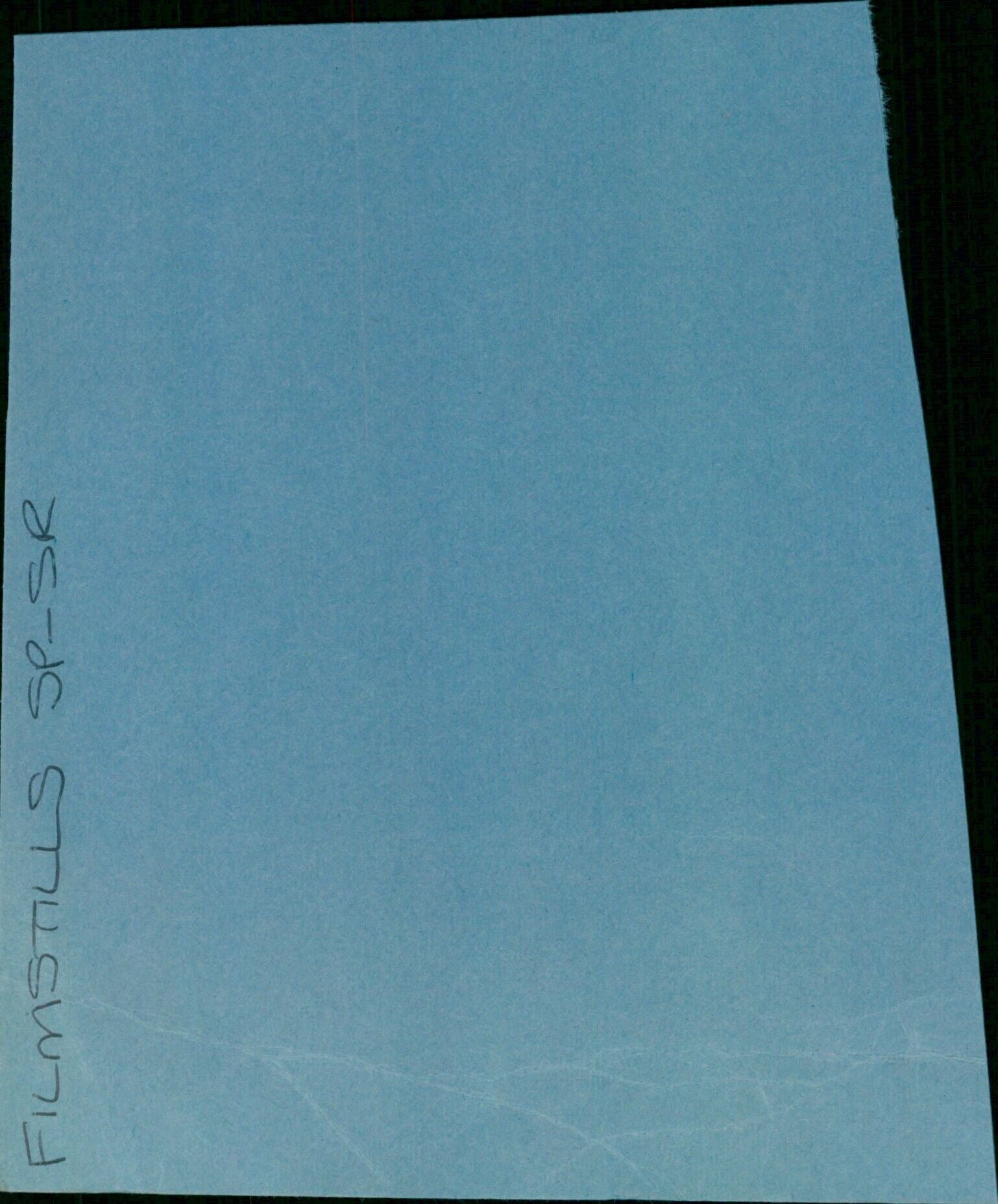 Members of the Special Tactical Support Unit of the police department