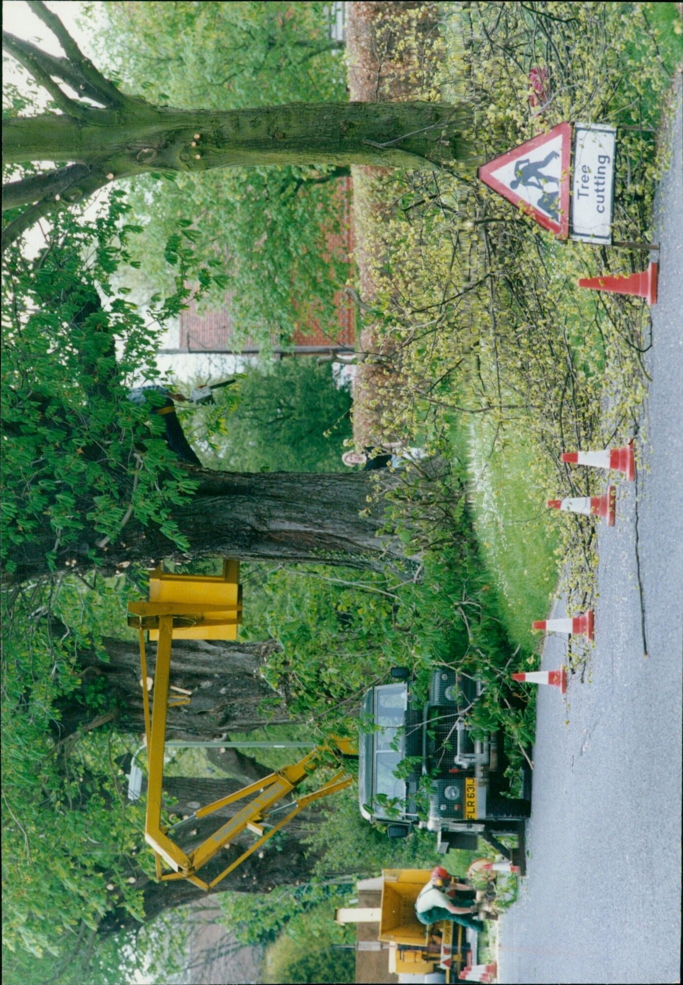 Forestry workers cutting down trees in Caldecott Road, Abingdon. - Vin