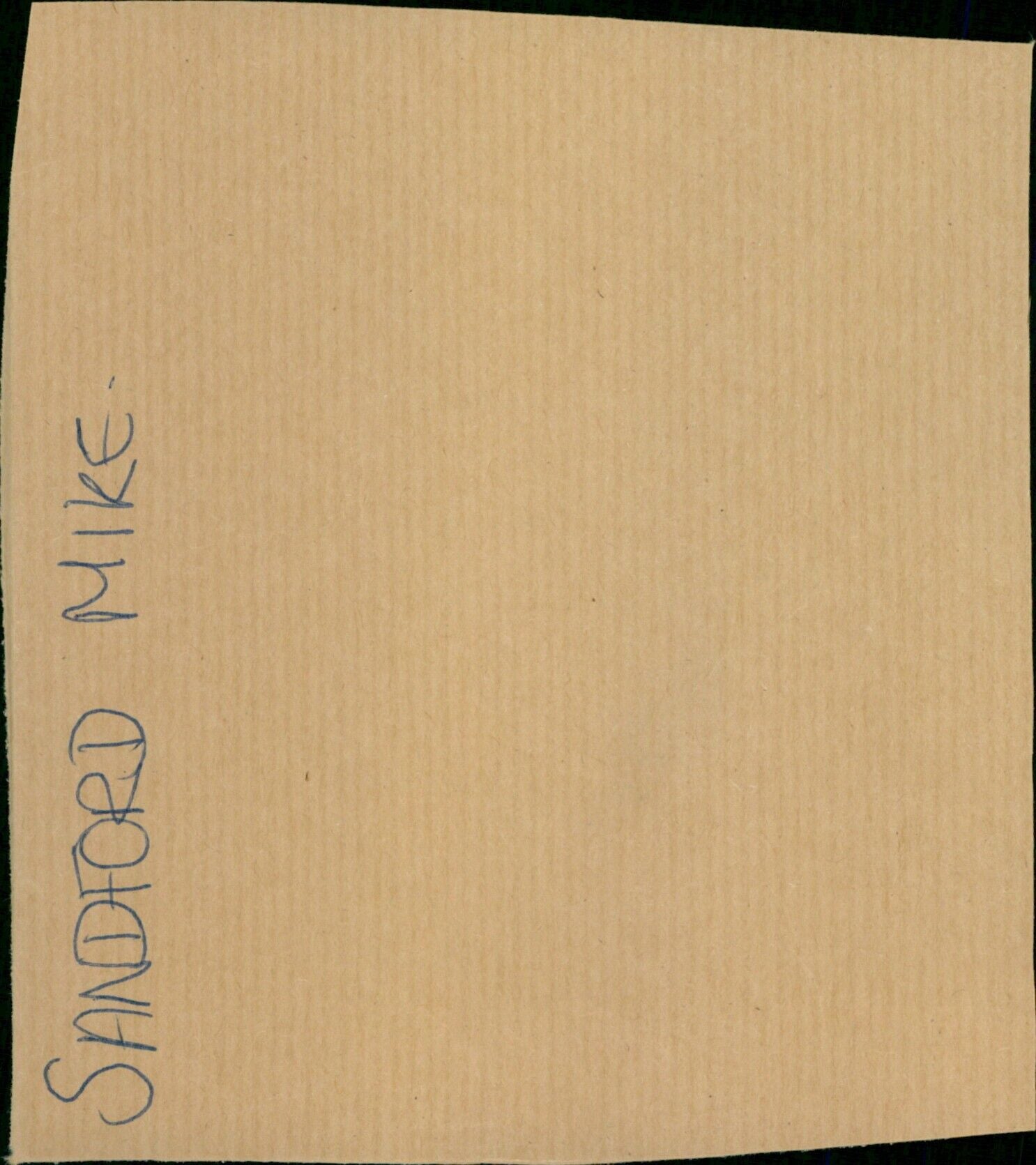 The South African National Defense Force (SANDF) parades in honor of t