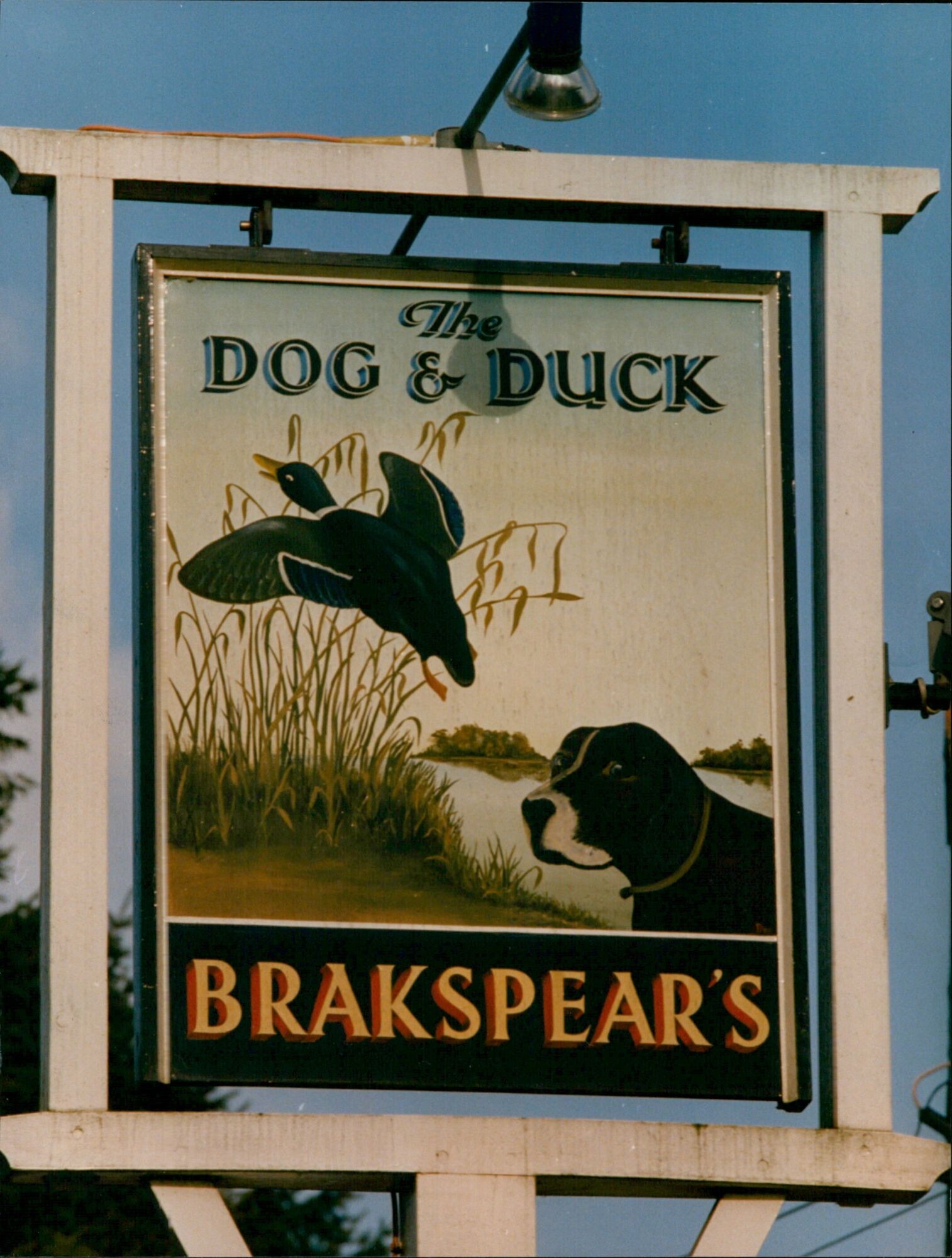 Bil Brakspear's pub signs at the Dog & Duck in Oxford, England - Vinta