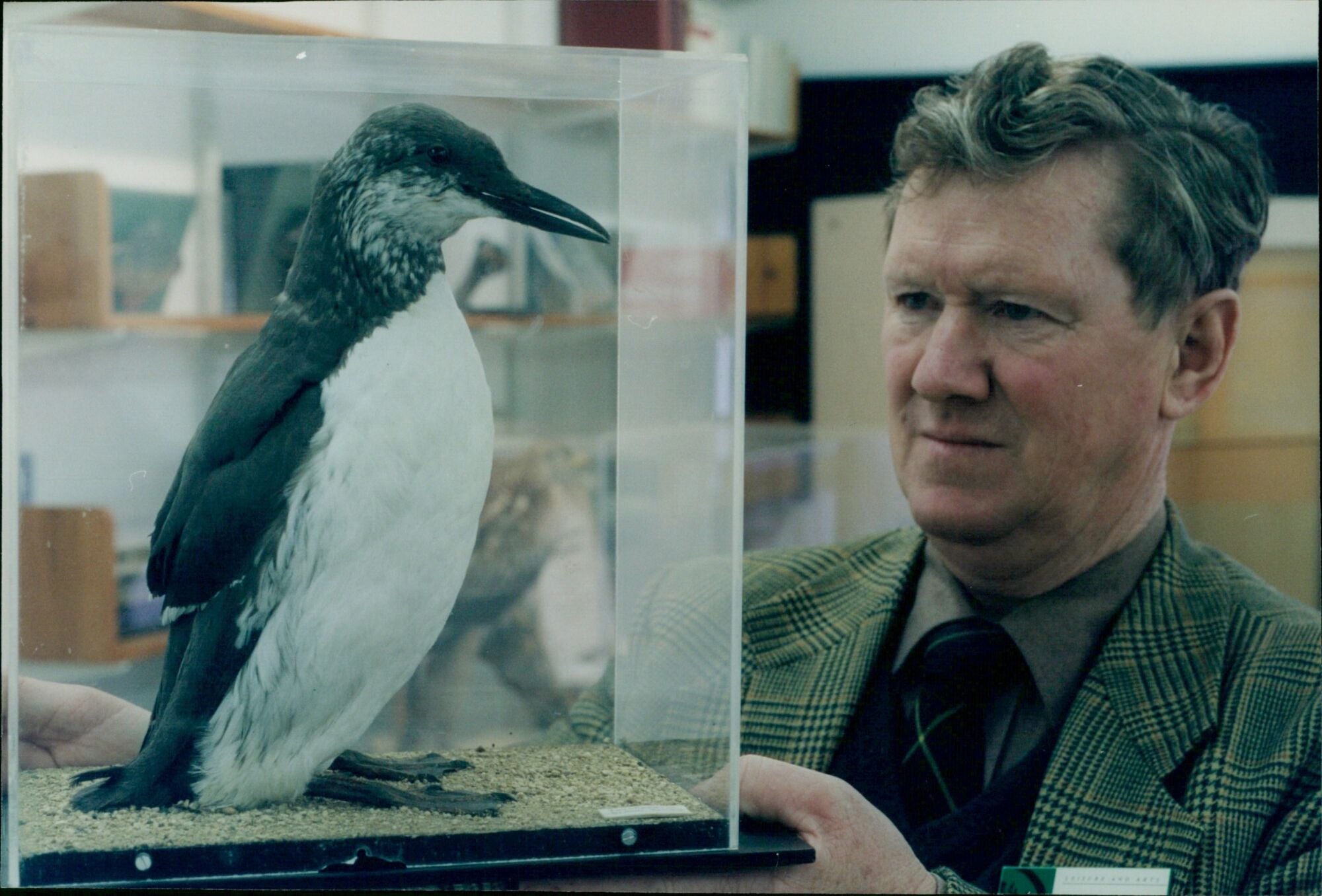 Standlake County Museum Store displays rare Victorian egg collection.
