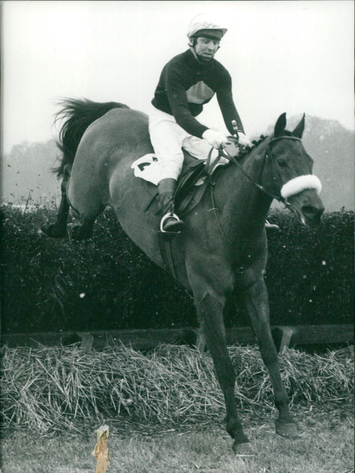 Red Rum is a massive industry, with the racehorse having won the Grand