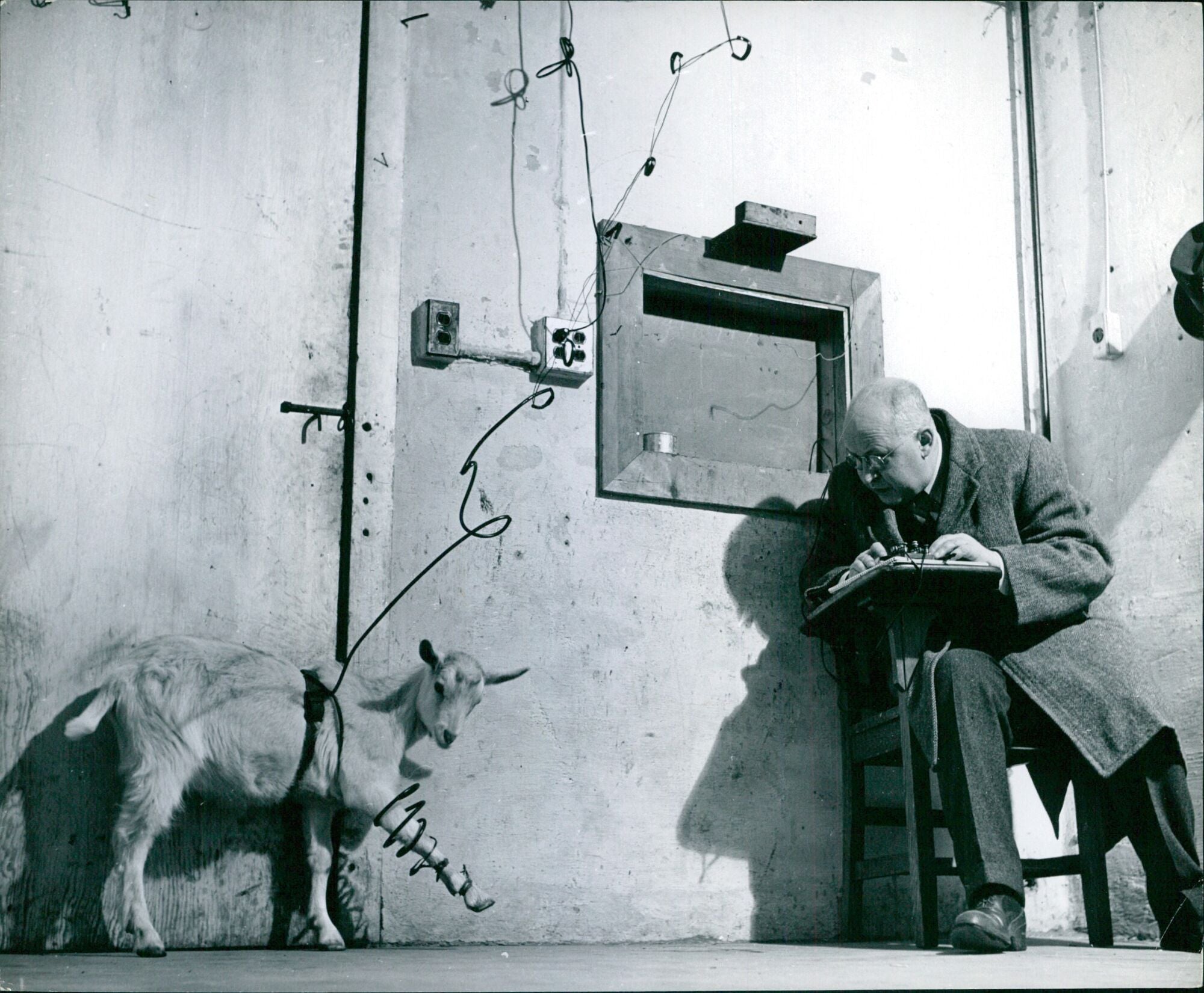 Dr. Liddell demonstrates a technique to create a neurotic state in a k