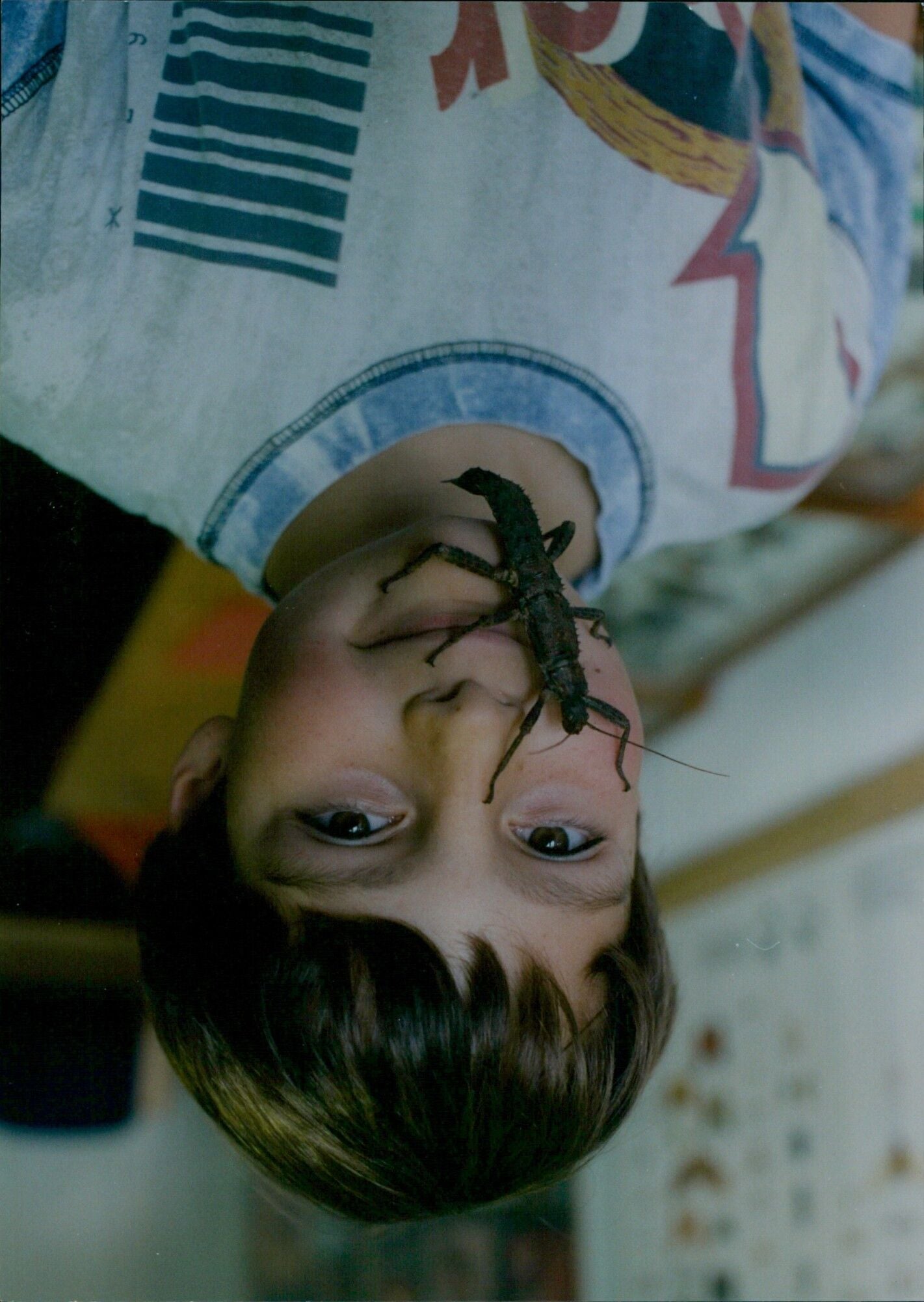Two children get up close with stick insects at the University Museum