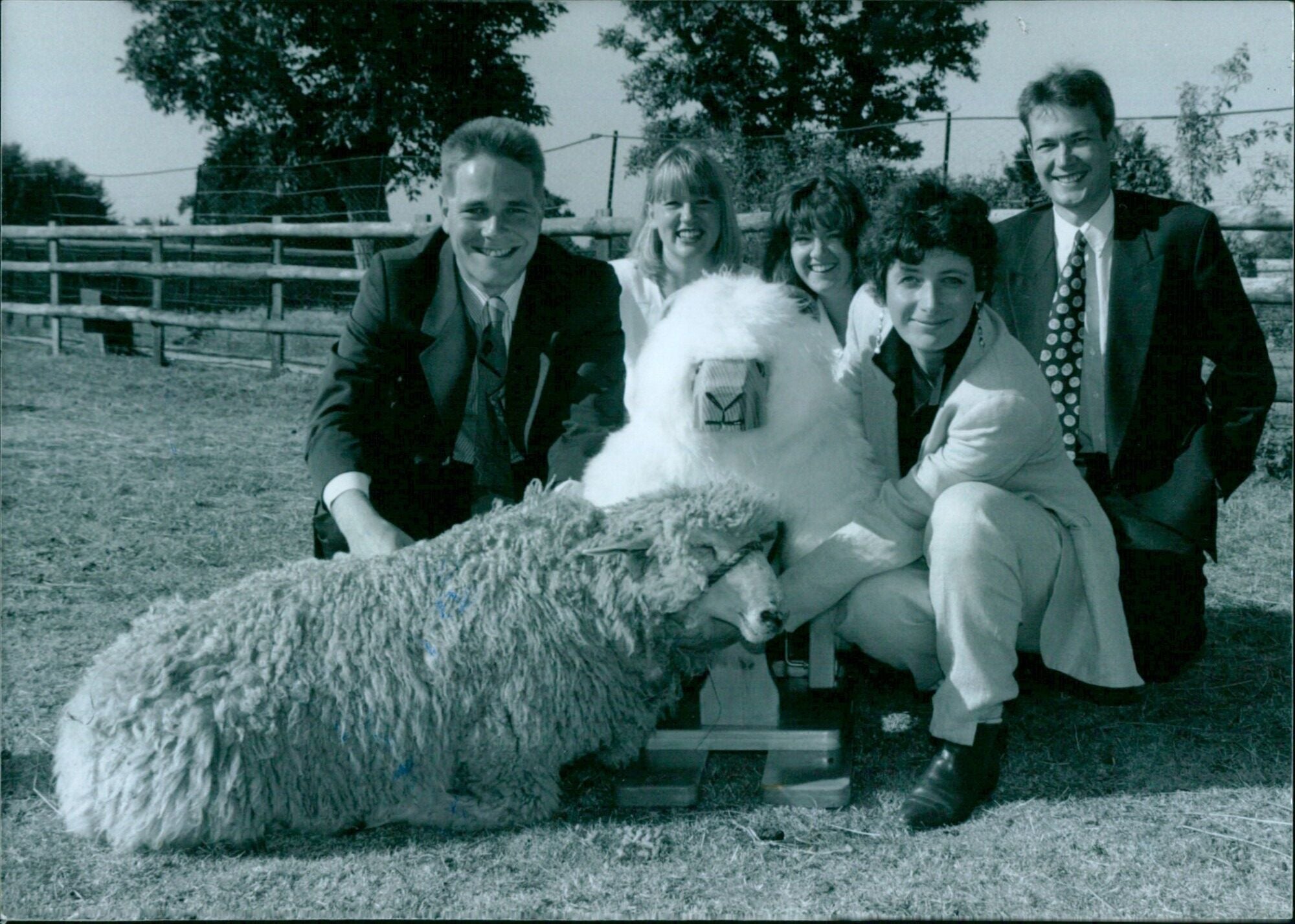 Grant Thornton staff members Lee Freeman, Alison Howes, Wendy Hart, Su