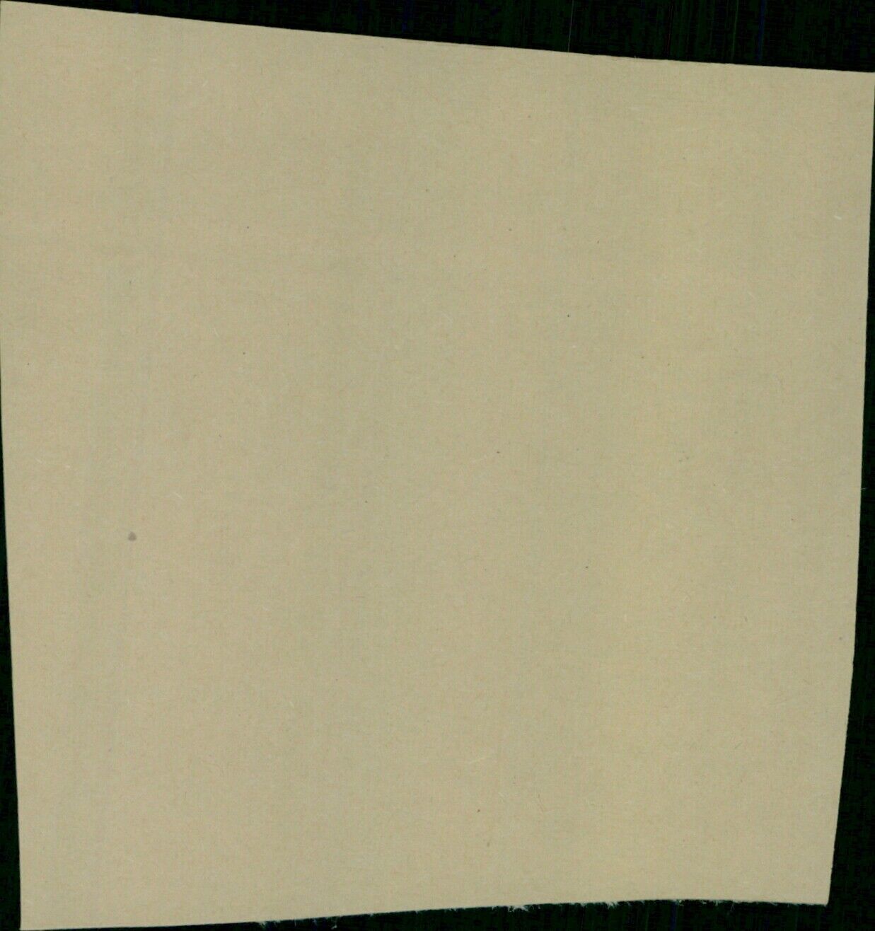 Members of an environmental organization protest deforestation in the