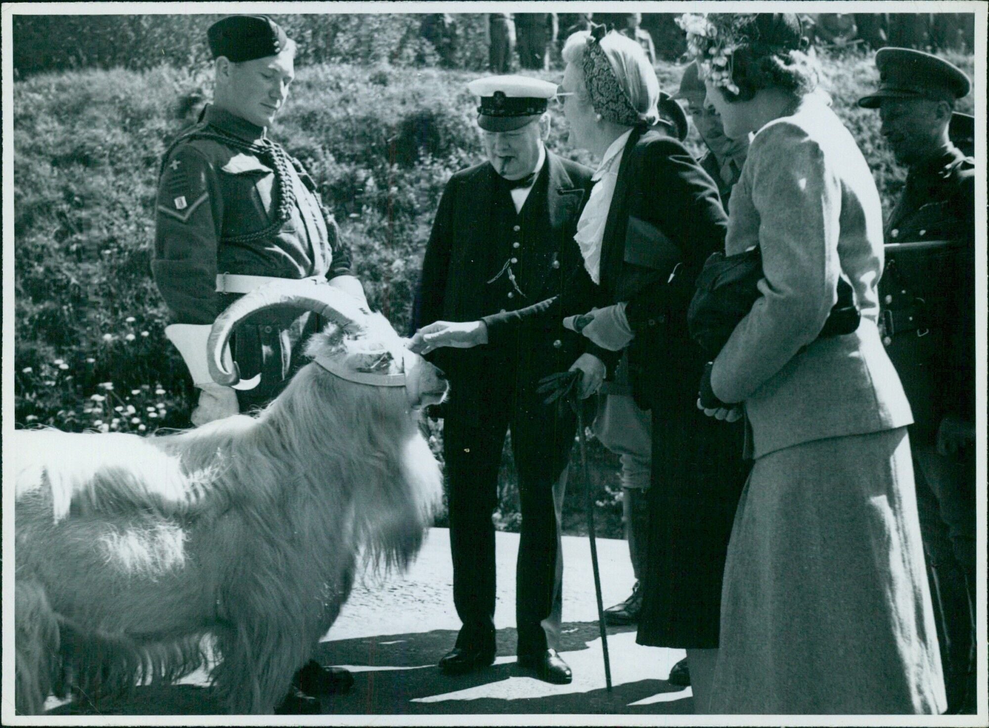 Prime Minister Mrs. Churchill admires "Billy" the goat mascot of a bat