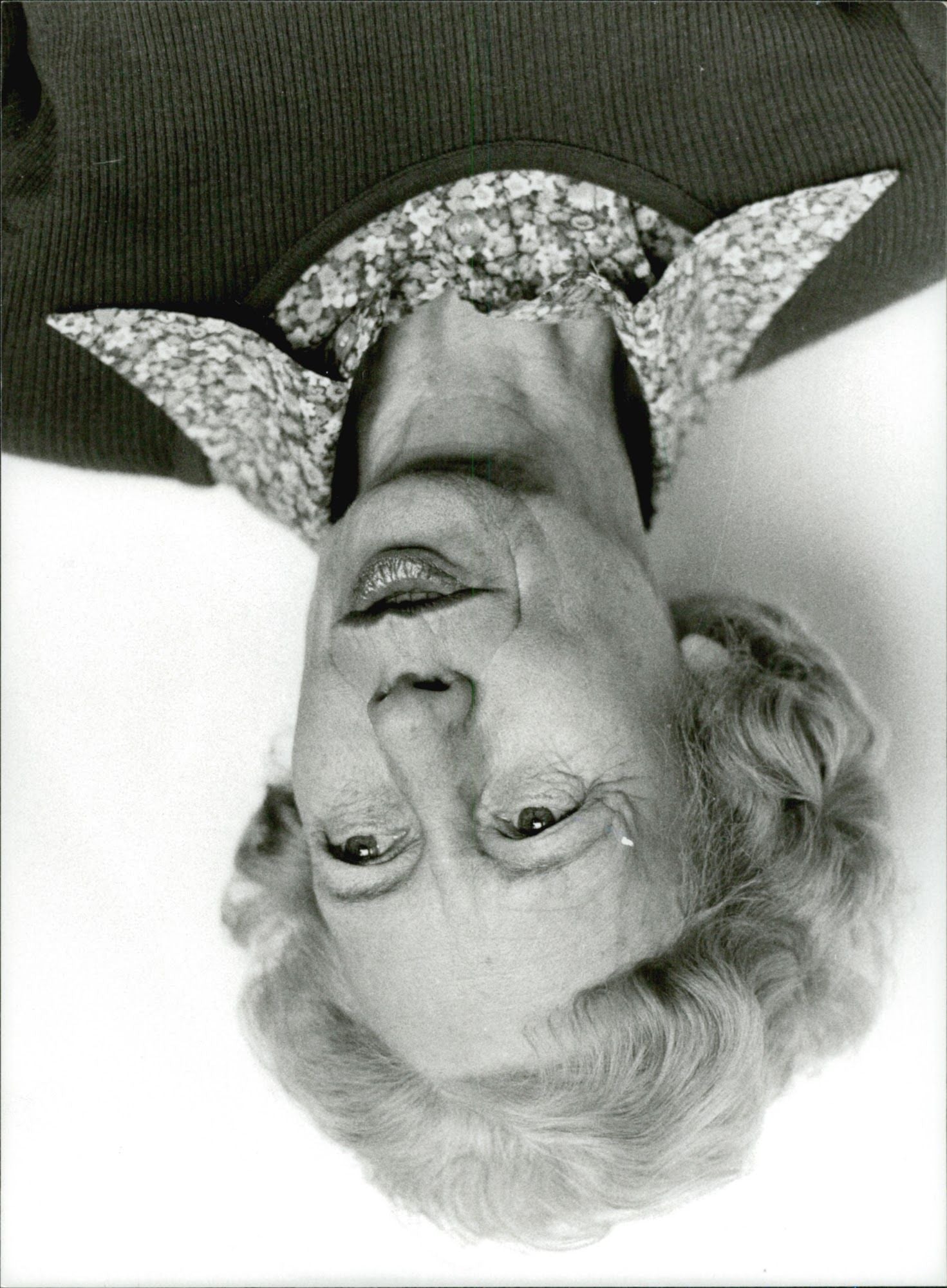 Anna-Britt AgnsÃ¤ter, the creator of the food pyramid - Vintage Photog